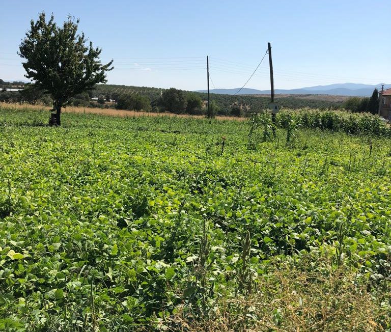 Schritt 2: Die Wahl der besten Produzenten